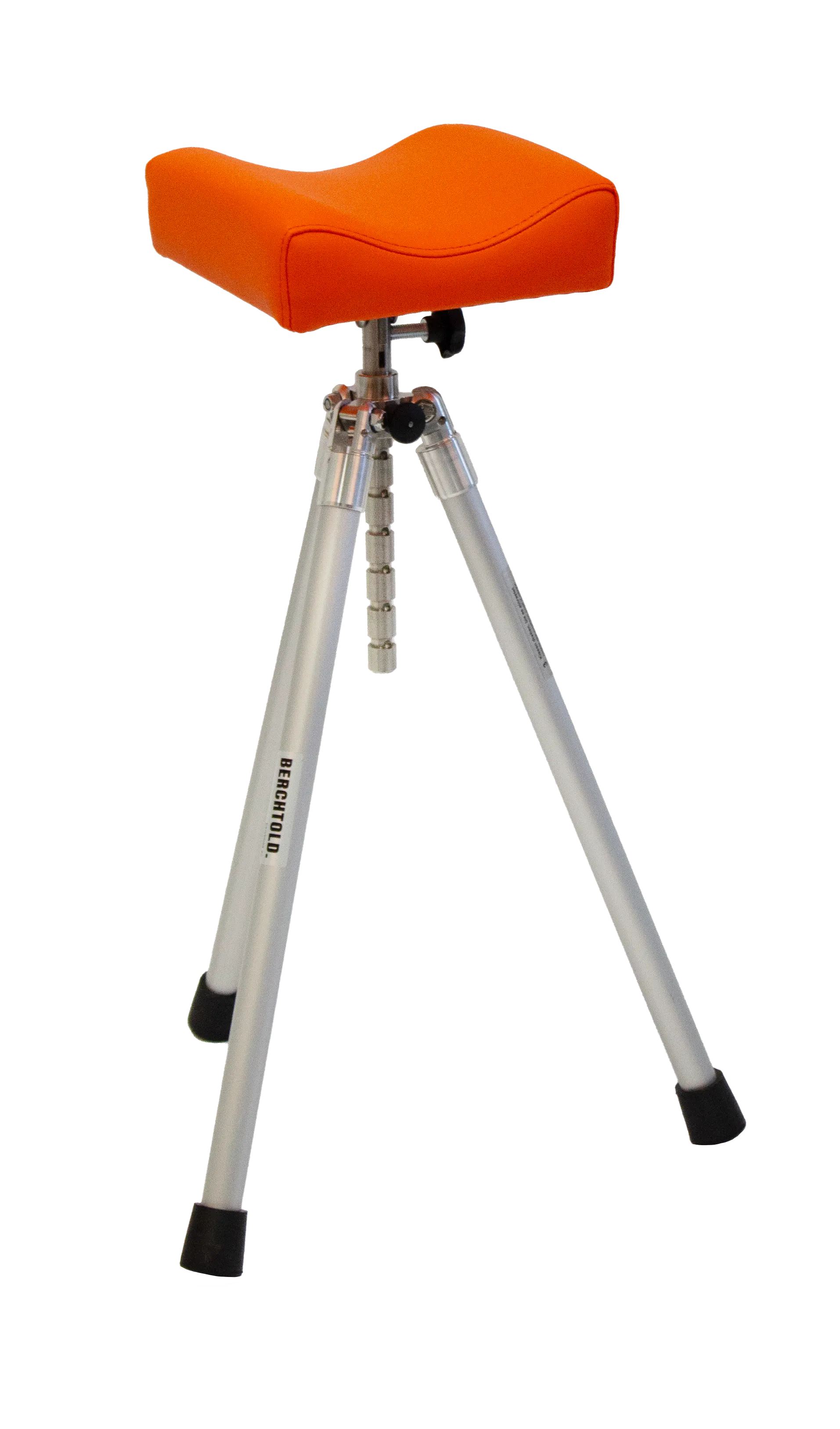 Berchtold Leg Rest